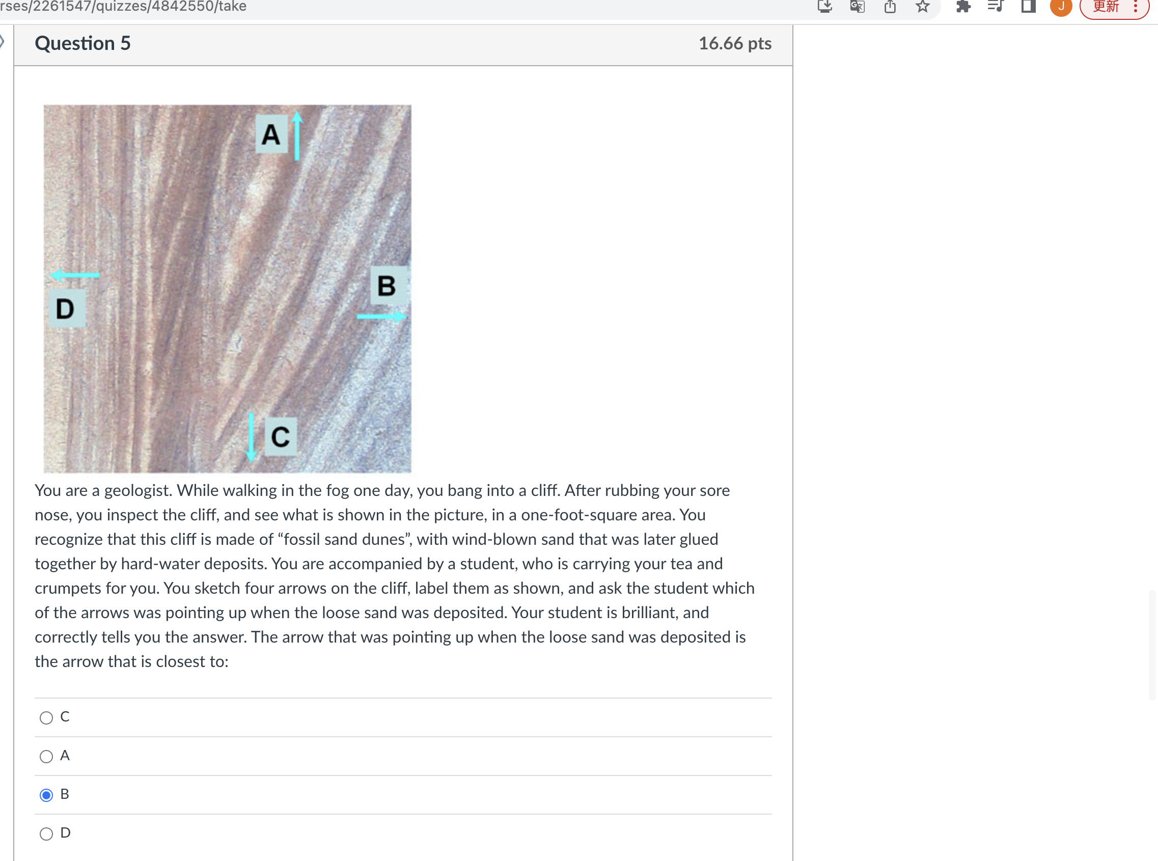 Solved You are a geologist. While walking in the fog one | Chegg.com