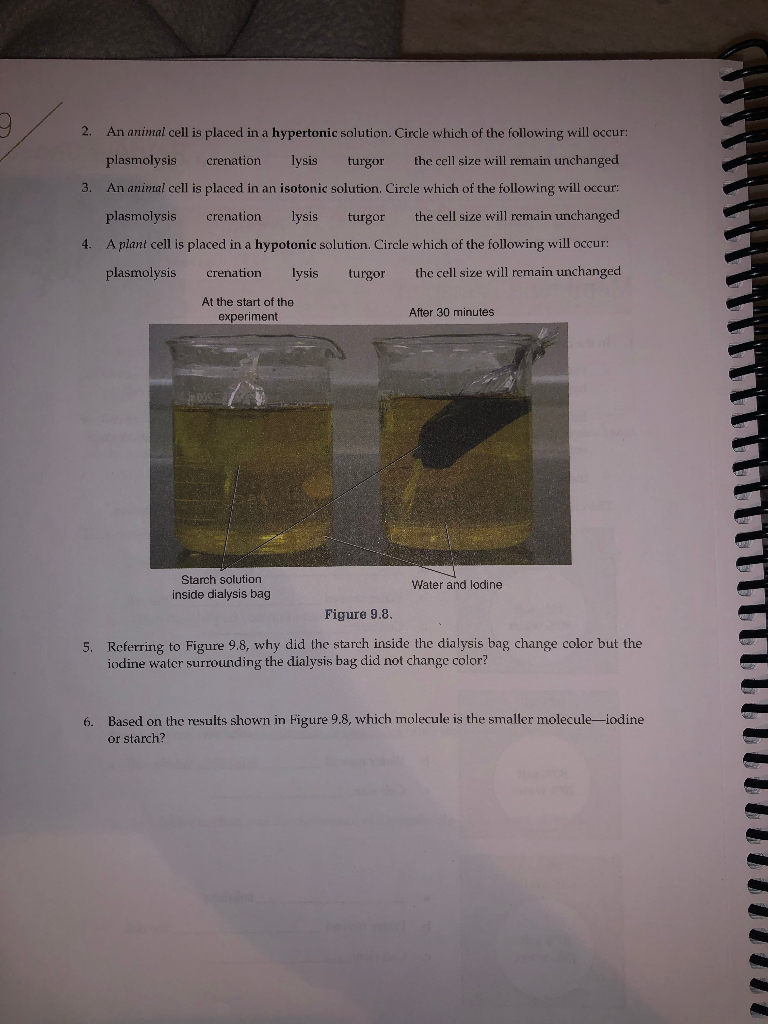 Solved 2. 3. An animal cell is placed in a hypertonic | Chegg.com