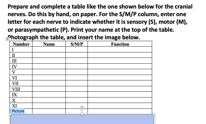 Prepare and complete a table like the one shown below | Chegg.com