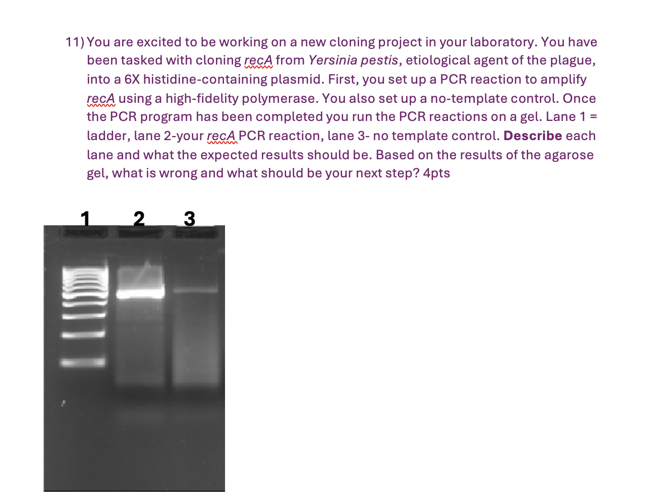 Solved You are excited to be working on a new cloning | Chegg.com