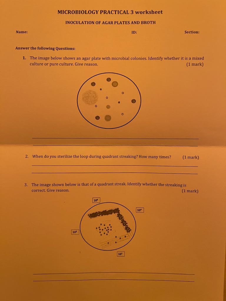 Solved MICROBIOLOGY PRACTICAL 3 worksheet INOCULATION OF | Chegg.com