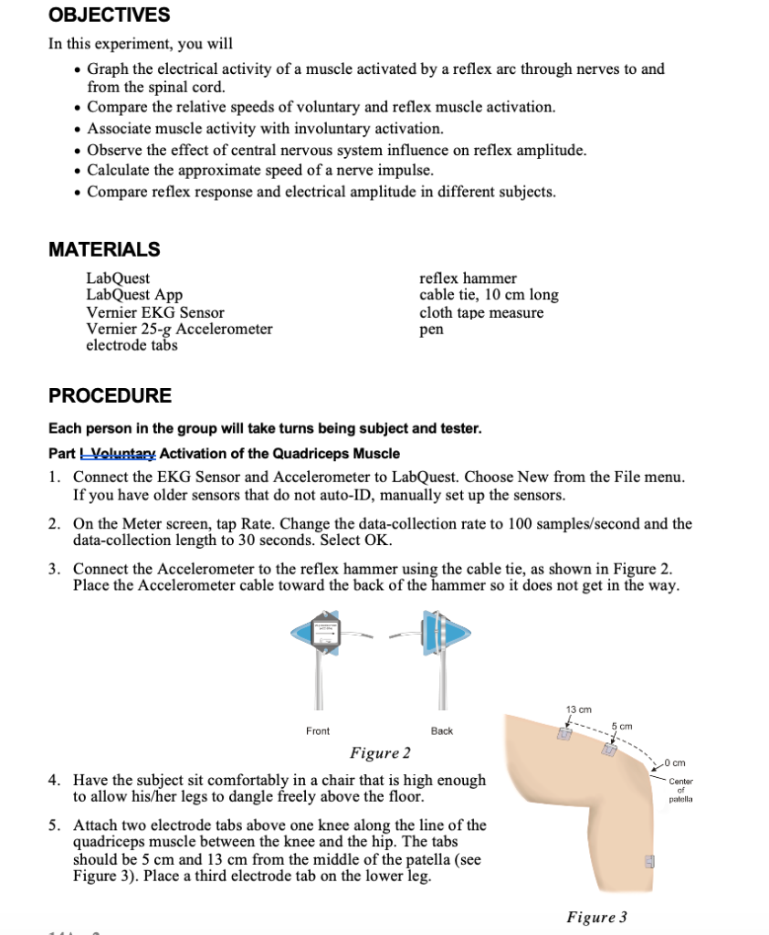 Solved Experiment Neuromuscular Reflexes The automatic | Chegg.com