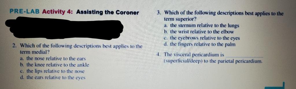 Solved Hello. Can you please help me answer this questions. | Chegg.com