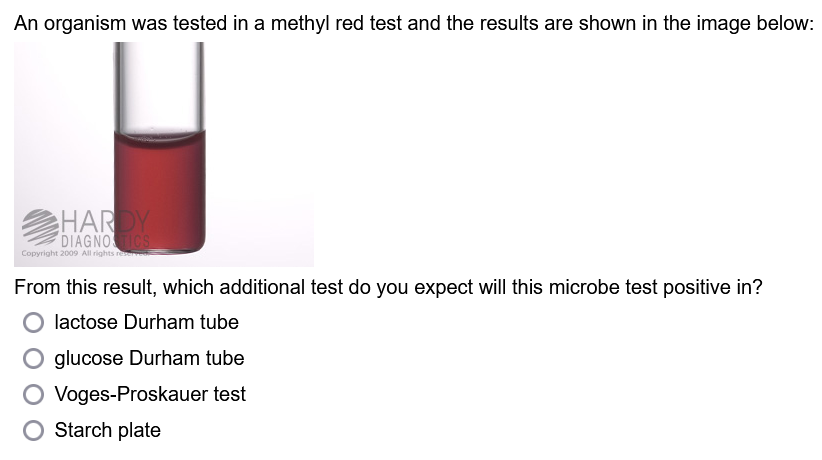 Solved An organism was tested in a methyl red test and the | Chegg.com