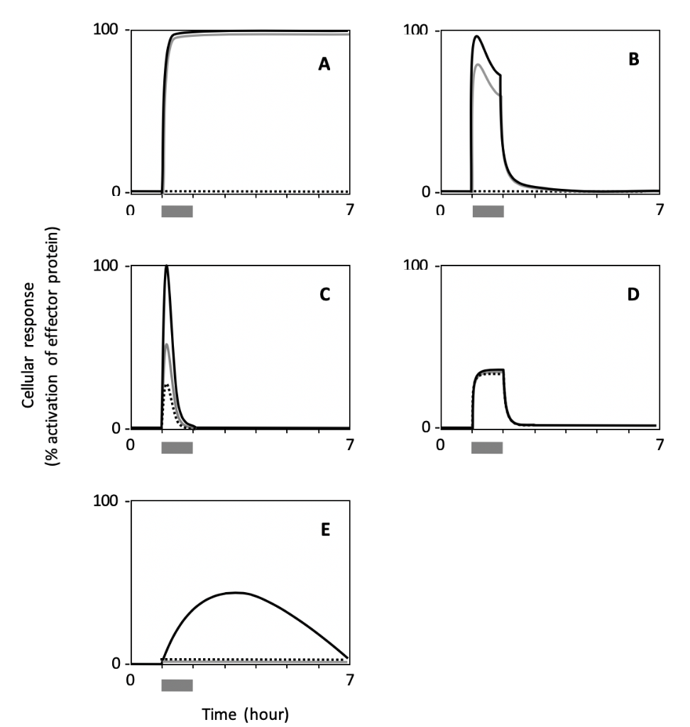 Solved In the following graph, the cellular response, as | Chegg.com