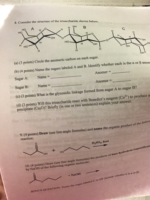Solved s. Consider the structure of the trisaccharide shown | Chegg.com