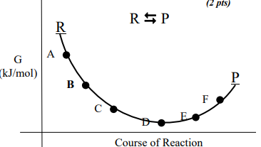 Solved The equilibrium position corresponds to which letter | Chegg.com