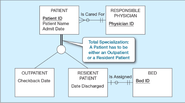 Solved WOULD LIKE HELP CREATING AN EER DIAGRAM WITH THE | Chegg.com