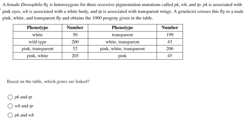 Solved A Female Drosophila Fly Is Heterozygous For Three 6655
