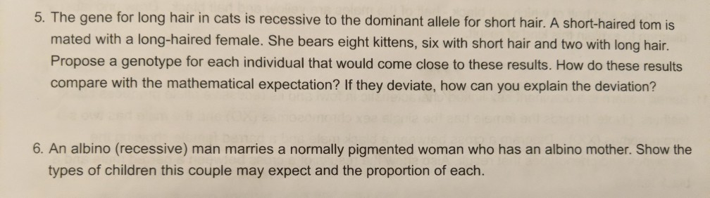 Solved 5. The gene for long hair in cats is recessive to the | Chegg.com