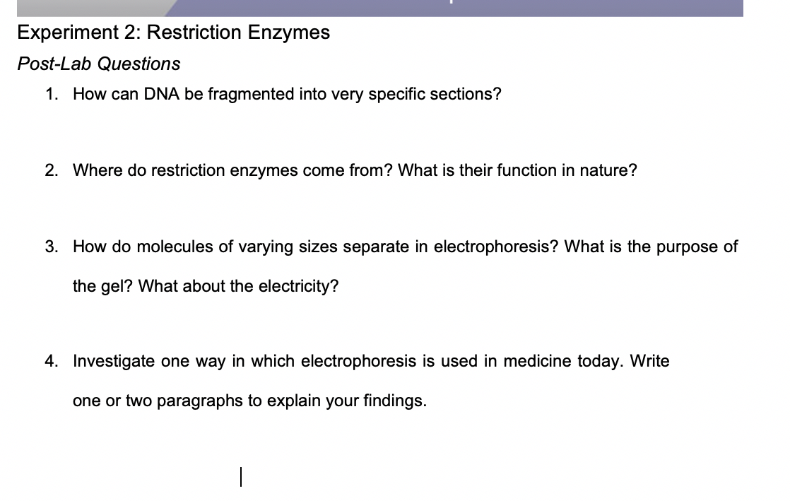 Solved EXPERIMENT 2: RESTRICTION ENDONUCLEASES Figure 8: | Chegg.com