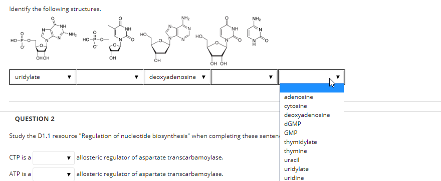 Solved Identify the following structures. NH - . 00 N -NH- 7 | Chegg.com