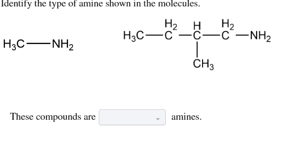 Solved Identify the type of amine shown in the | Chegg.com
