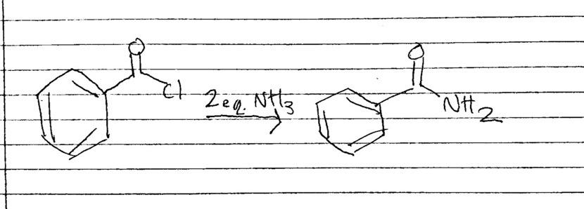 Solved Explain why an excess of NH3 is needed in aminolysis | Chegg.com
