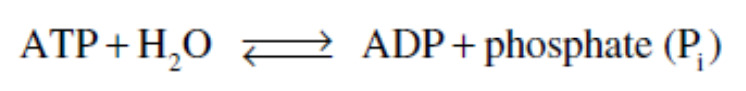 Solved (4) The free energy of ATP hydrolysis in its standard | Chegg.com