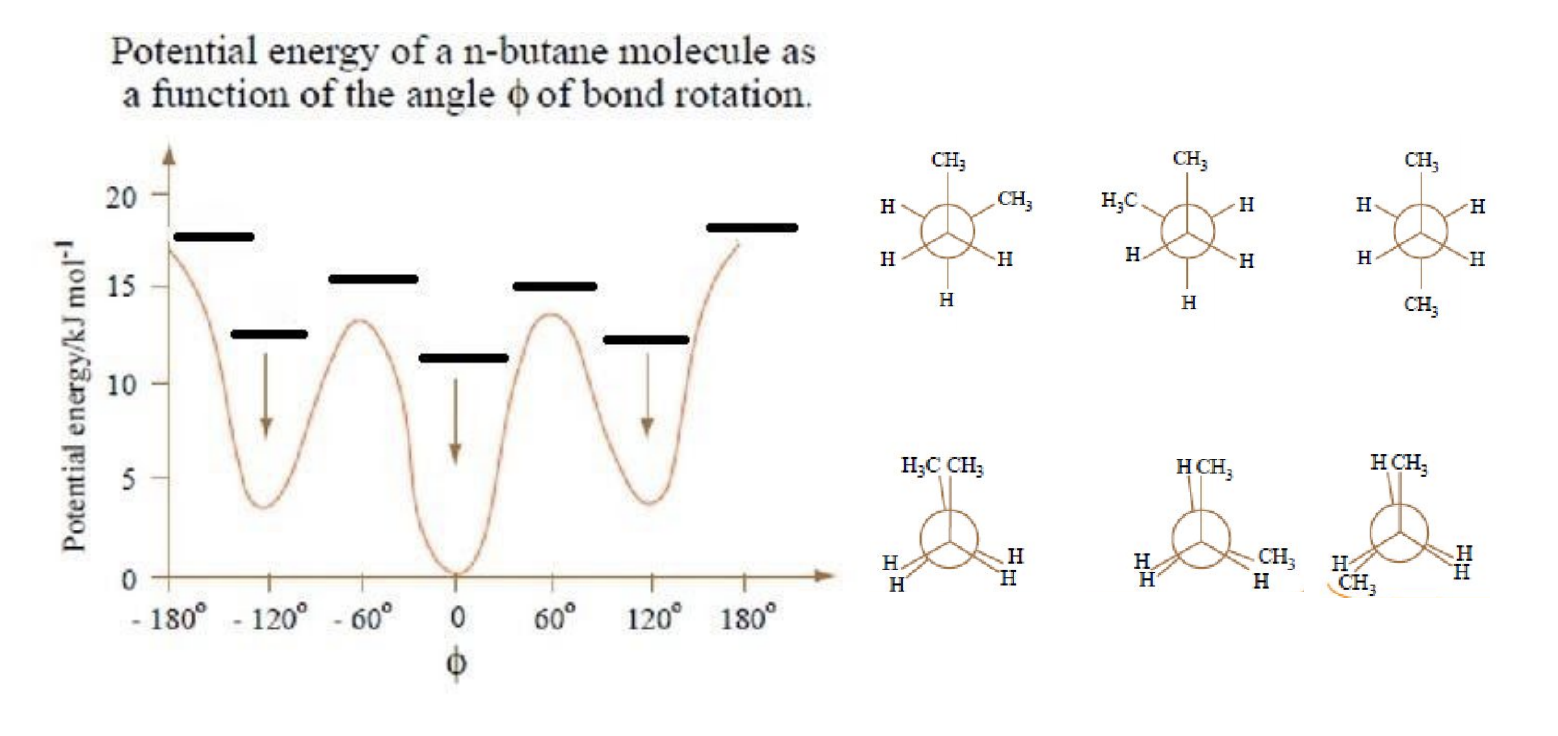 Solved On the rotational energy diagram below, label the | Chegg.com
