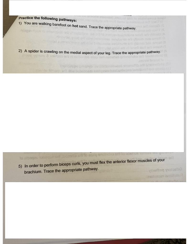Solved Practice the following pathways: 1) You are walking | Chegg.com