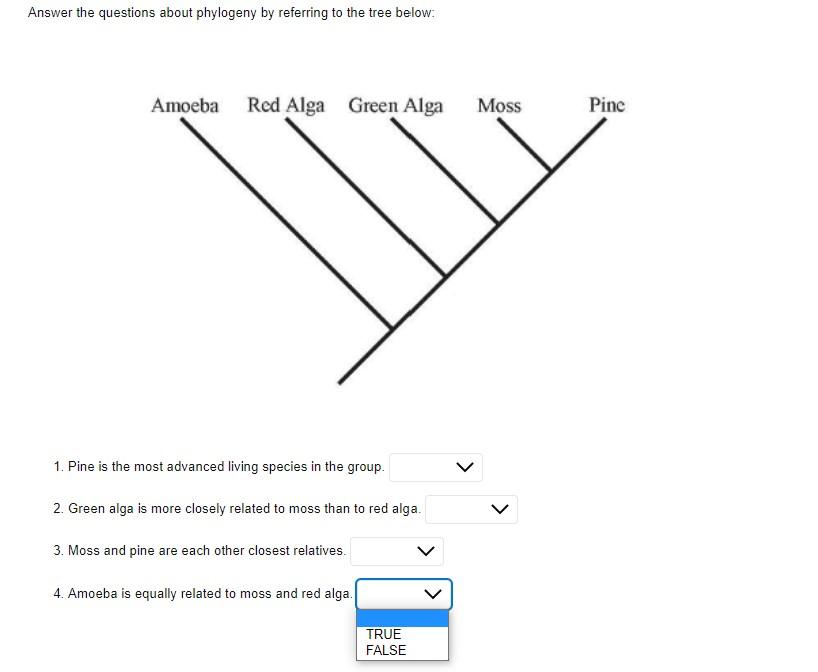Solved Answer the questions about phylogeny by referring to | Chegg.com