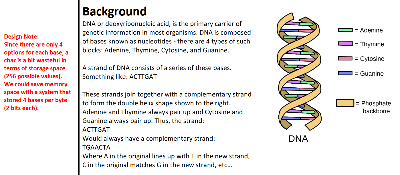 Assignment Instructions Submit files: DNAStrand.cpp / | Chegg.com