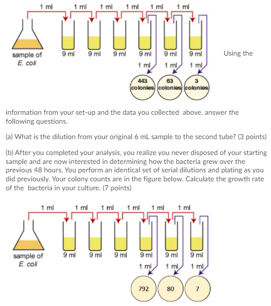 Solved You perform serial dilutions and you also calculate | Chegg.com