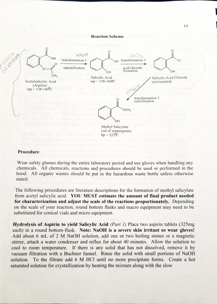 Solved CHEM 242L Exp. 4 Pre-Lab/Synthesis of Oil of | Chegg.com Solved CHEM 242L Exp. 4 Pre-Lab/Synthesis of Oil of | Chegg.com