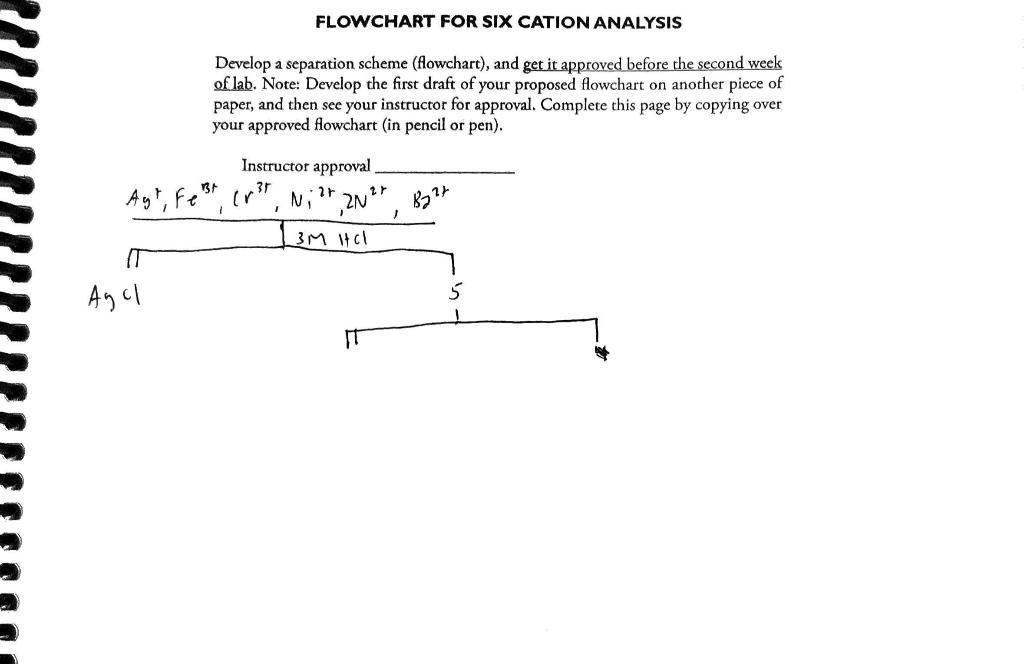 Solved FLOWCHART FOR SIX CATION ANALYSIS Develop a | Chegg.com