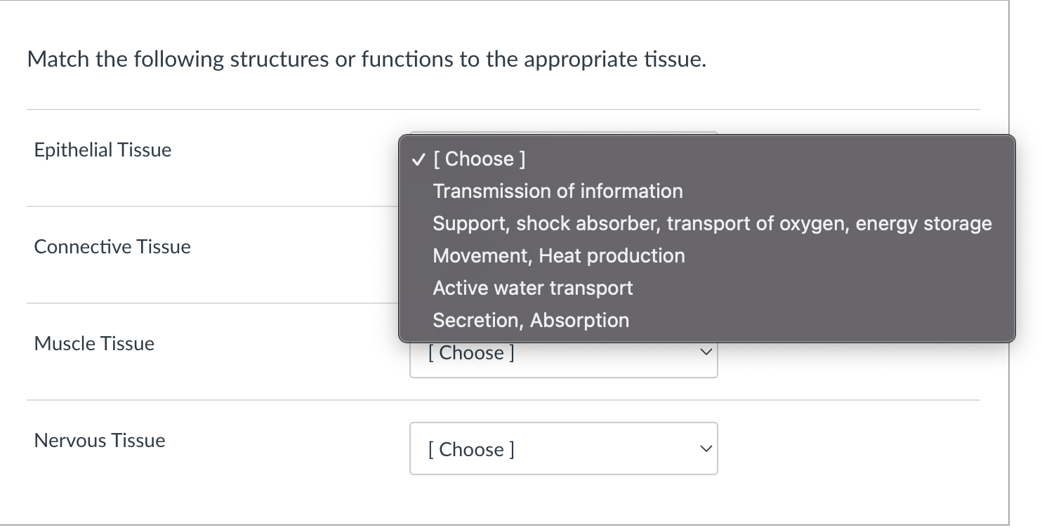 Solved Match the following structures or functions to the | Chegg.com