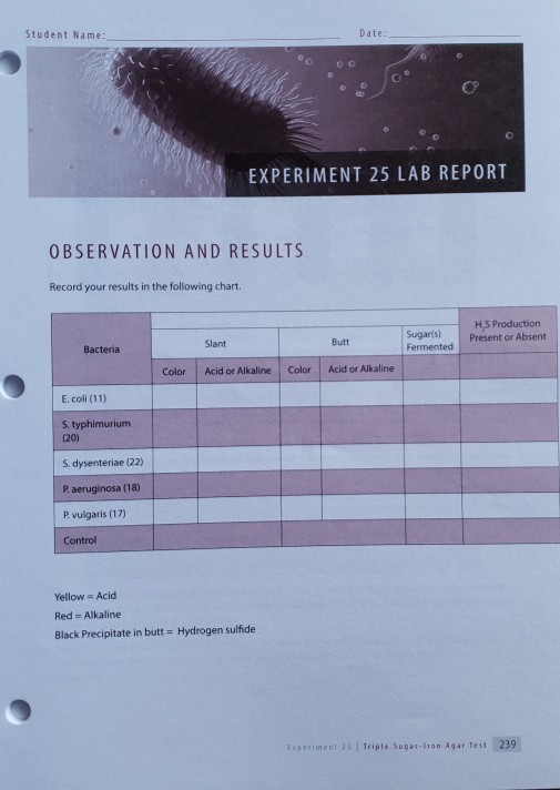 Solved Student Name: Date: EXPERIMENT 25 LAB REPORT | Chegg.com