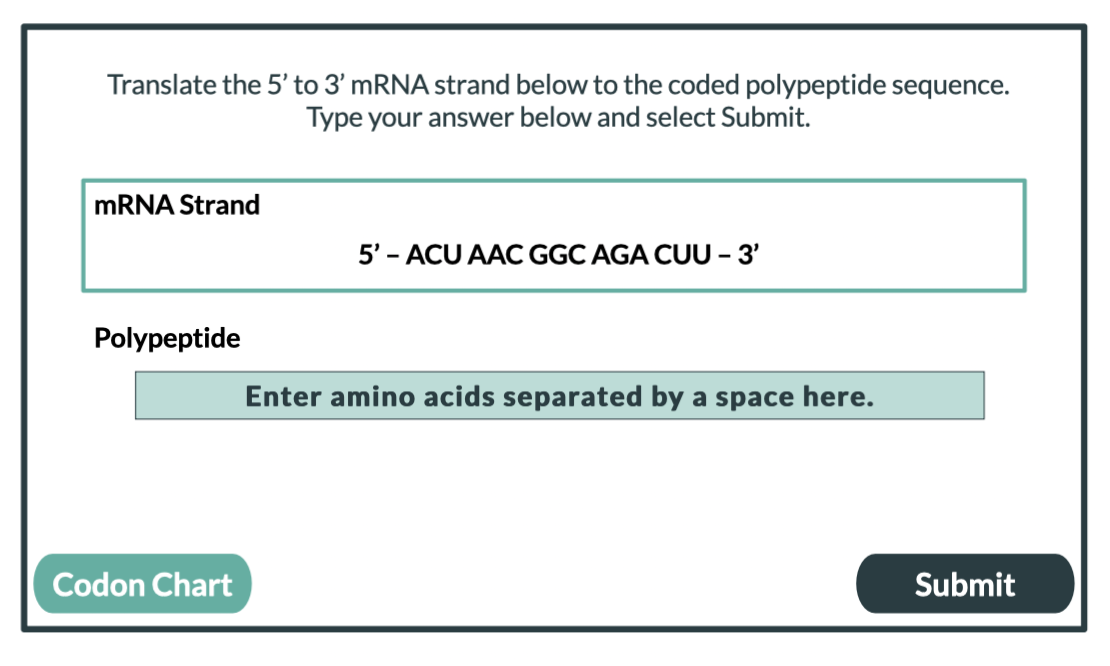 Solved Translate the 5' ﻿to 3' ﻿mRNA strand below to the | Chegg.com
