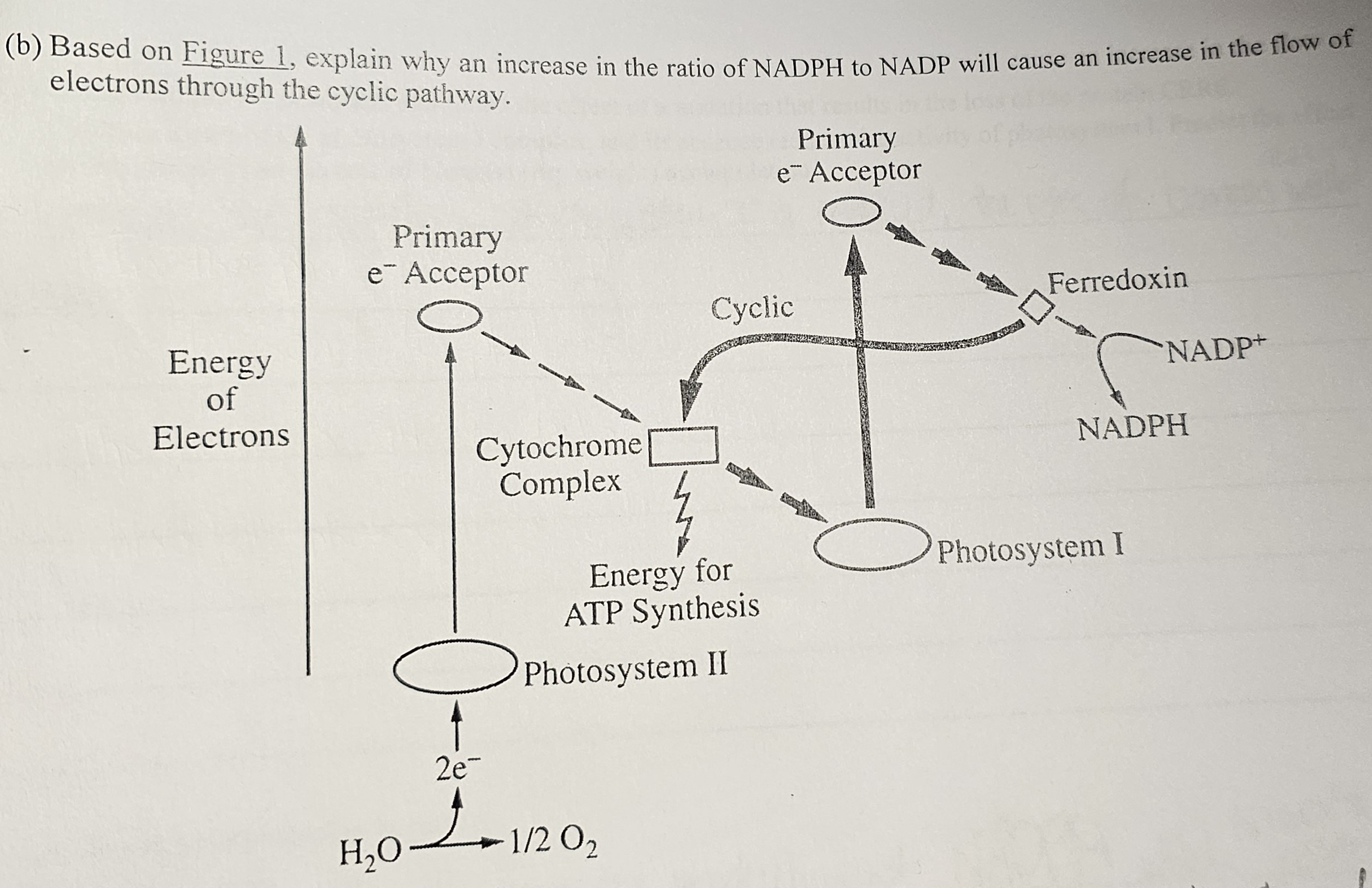 Solved (b) Based on Figure 1, explain why an increase in the | Chegg.com