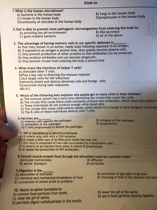 Solved EXAM 4A 1.What is the human microbiome? A) bacteria | Chegg.com