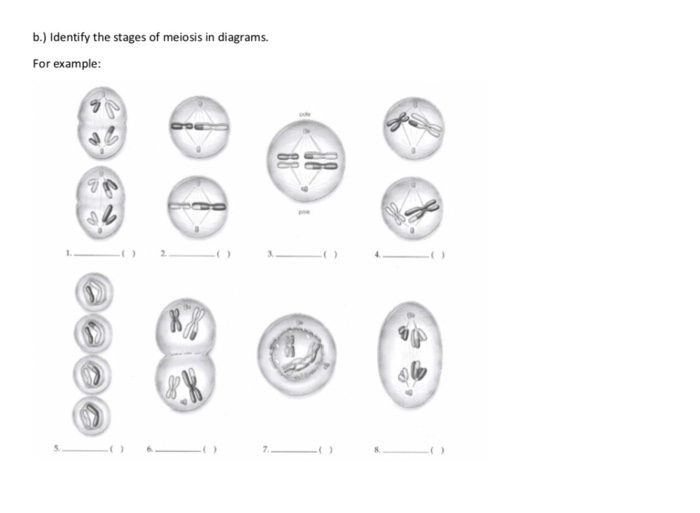 Solved I Really Need Help And I Am Struggling Please Answer 