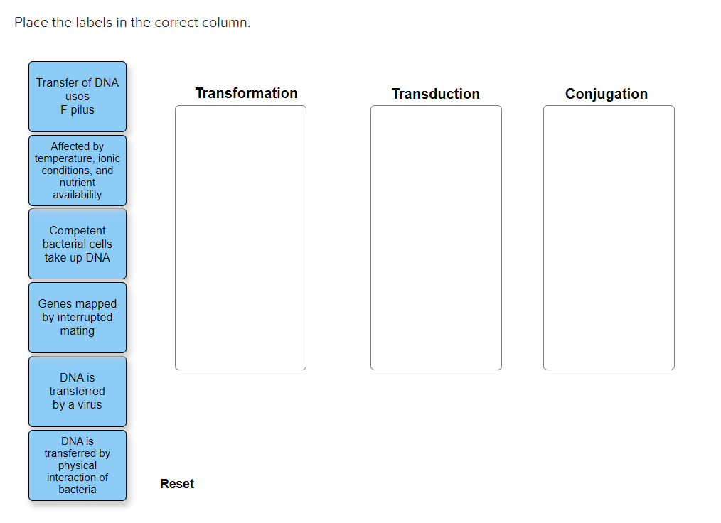 Solved Place the labels in the correct column. Transfer of | Chegg.com