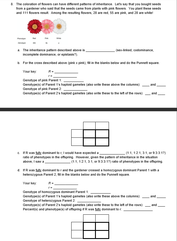 Solved 8. The coloration of flowers can have different | Chegg.com