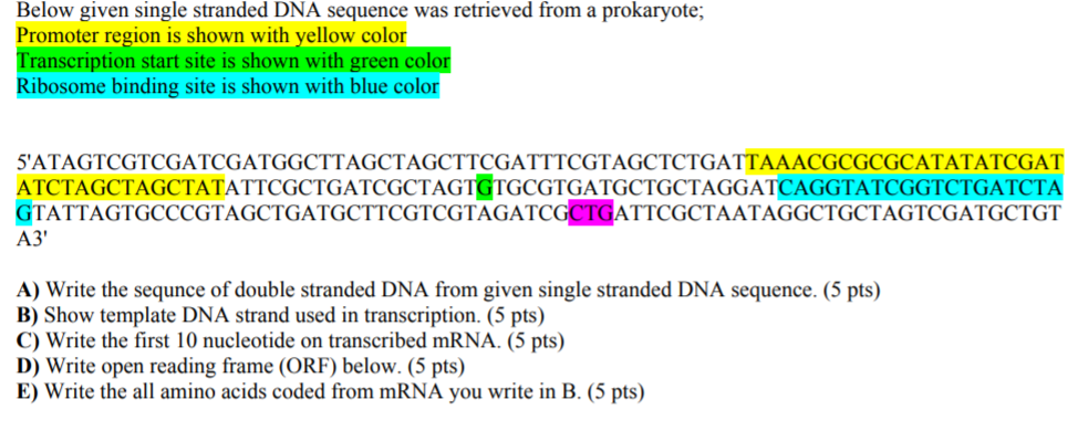 Solved Write the anticodon sequence coding 4th amino acid of | Chegg.com