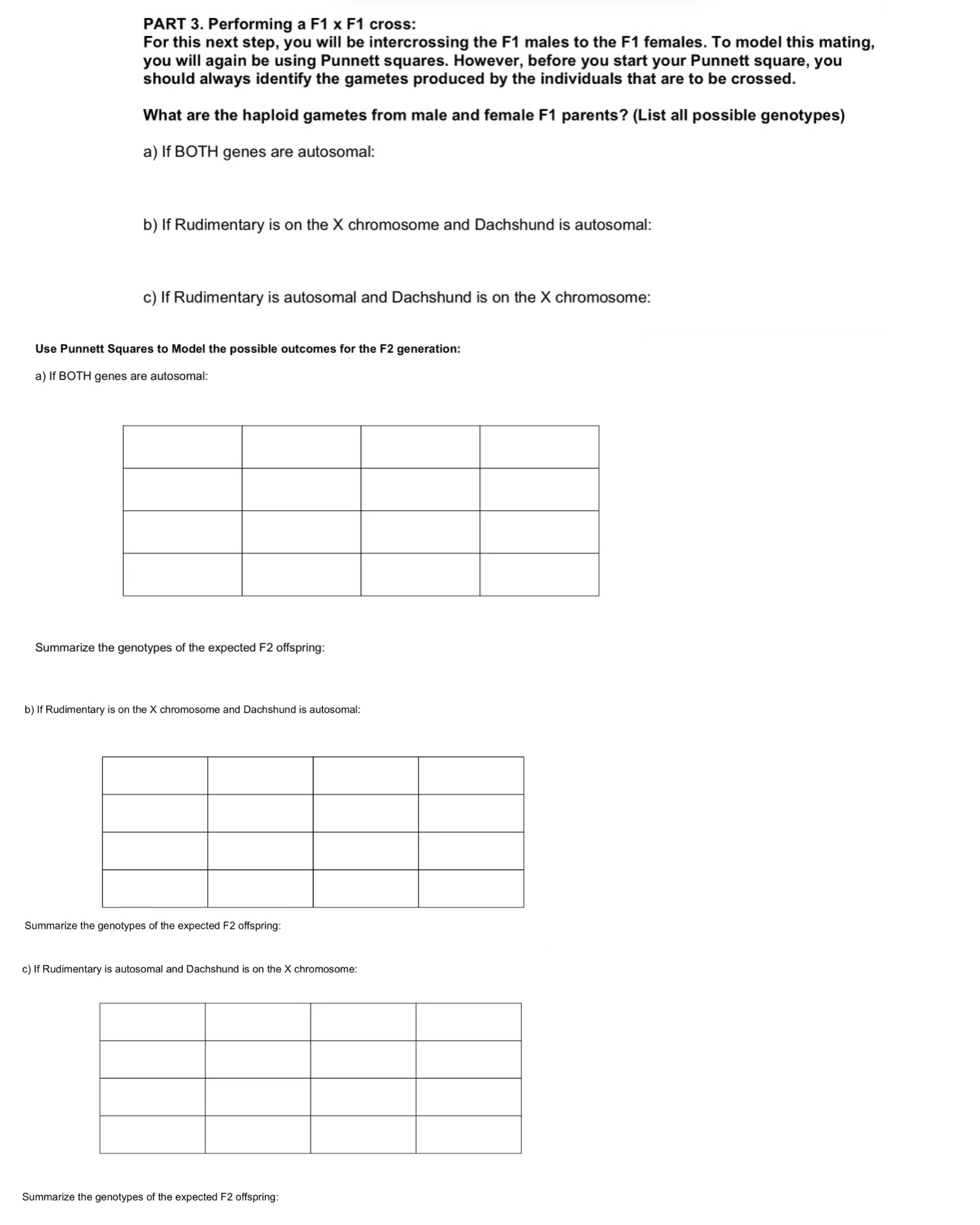 Solved PART 3. ﻿Performing a F1 ﻿x F1 ﻿cross:For this next | Chegg.com