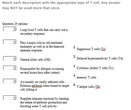 Solved Match each description with the appropriate type of T | Chegg.com