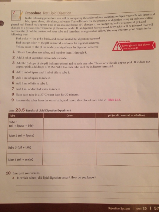 Solved Pre-Lab Exercise 233 Digestive Enzymes Brush border | Chegg.com