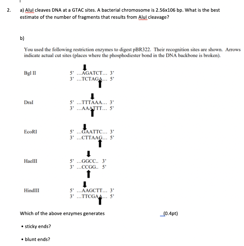 Solved 2.a) Alul cleaves DNA at a GTAC sites. A bacterial | Chegg.com