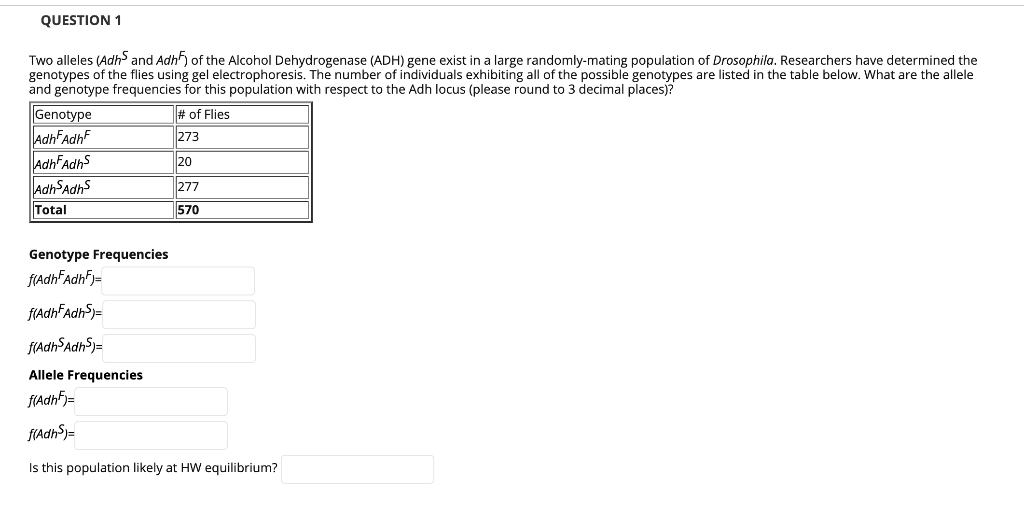 Solved QUESTION 1 Two alleles (Adhs and Adh) of the Alcohol | Chegg.com