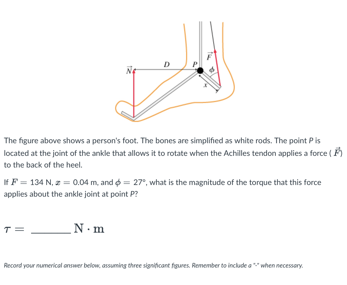 The figure above shows a person's foot. The bones are | Chegg.com