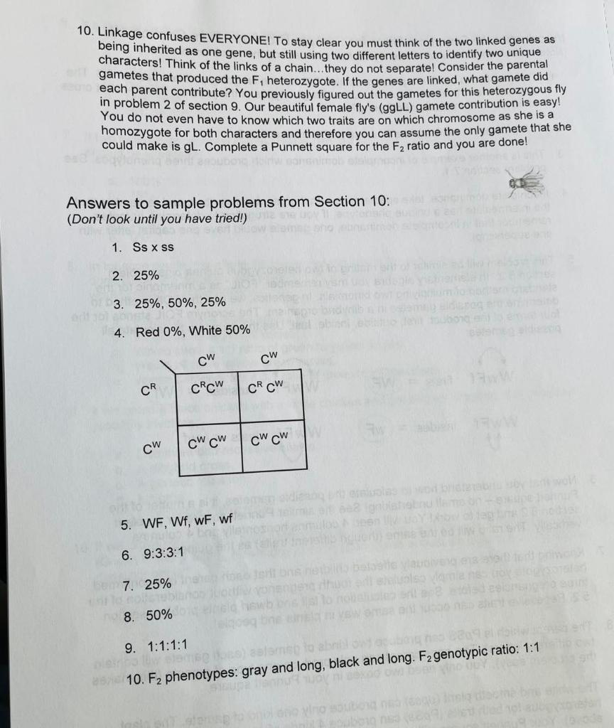 Solved Introduction to Genetics: Hints for Sample Problems | Chegg.com