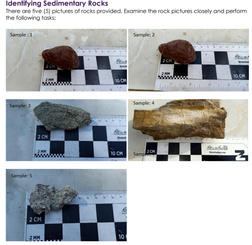 Solved Identifying Sedimentary Rocks There are five (5) | Chegg.com
