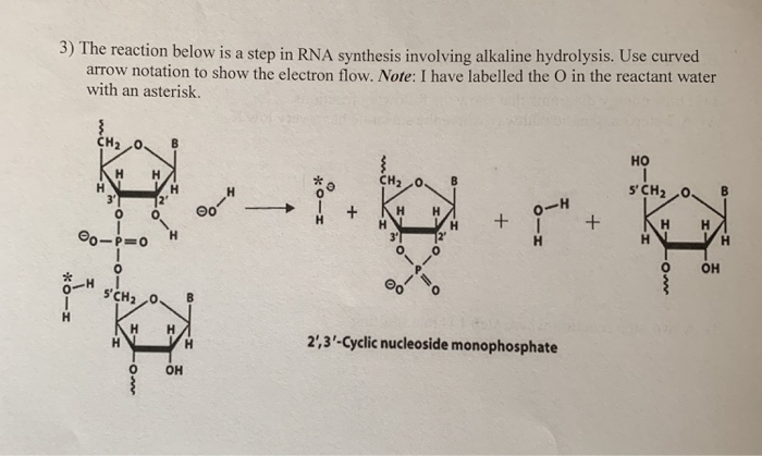 Solved 3) The reaction below is a step in RNA synthesis | Chegg.com