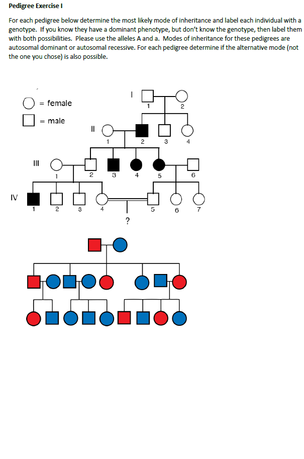 Solved Pedigree Exercise For each pedigree below determine | Chegg.com