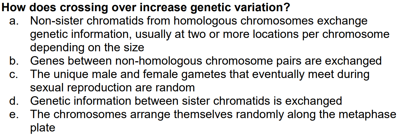 Solved How does crossing over increase genetic variation? a. | Chegg.com