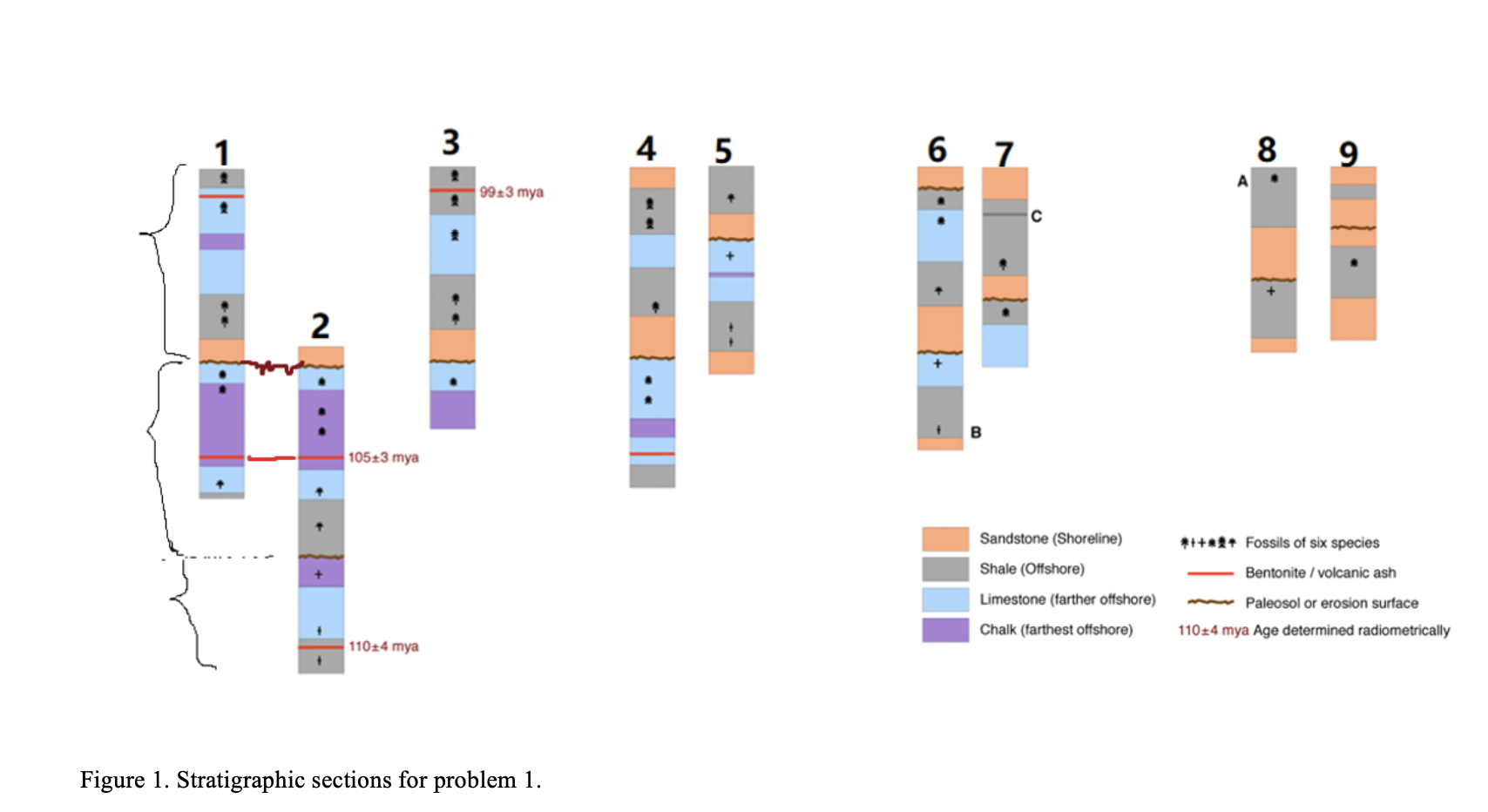 Solved Problem 2: Biostratigraphic Correlation Materials | Chegg.com