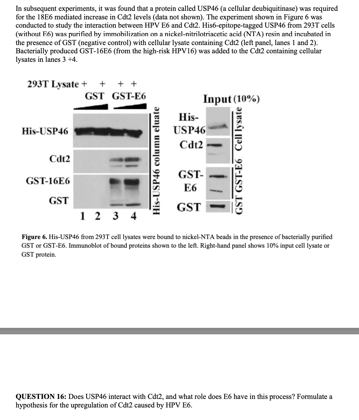 Solved In subsequent experiments, it was found that a | Chegg.com