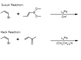 Solved Suzuki Reaction: Heck Reaction: | Chegg.com