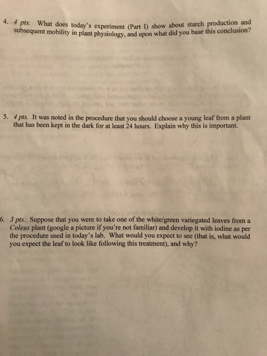 Solved 4. 4 pts. What does today' s experiment (Part I) show | Chegg.com